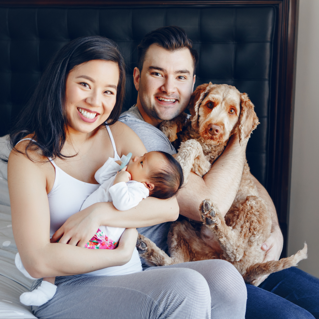 National Pet Parents Day - My Dog Walker & Pet Sitting, LLC