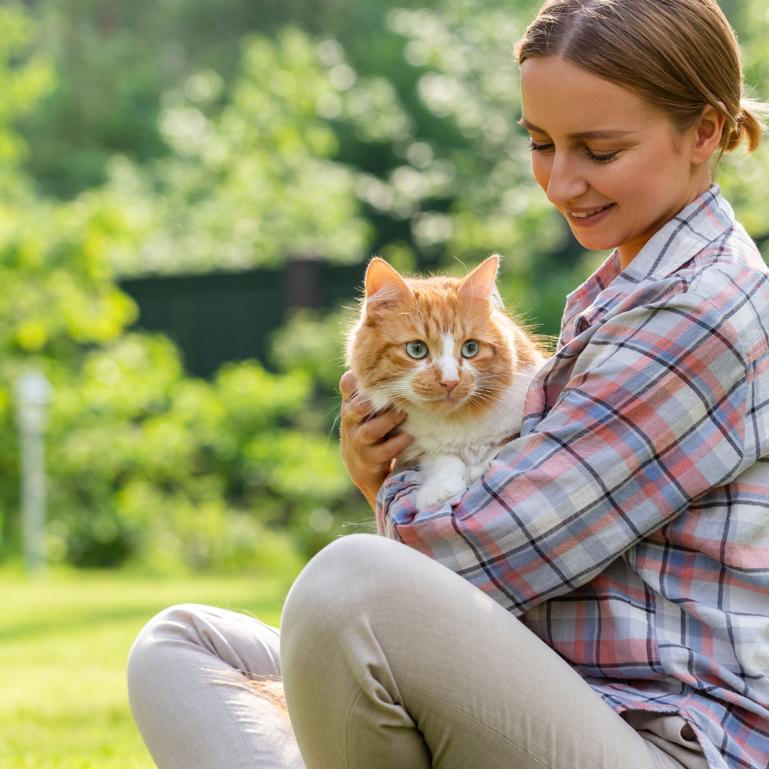 National Pet Parents Day - My Dog Walker & Pet Sitting, LLC